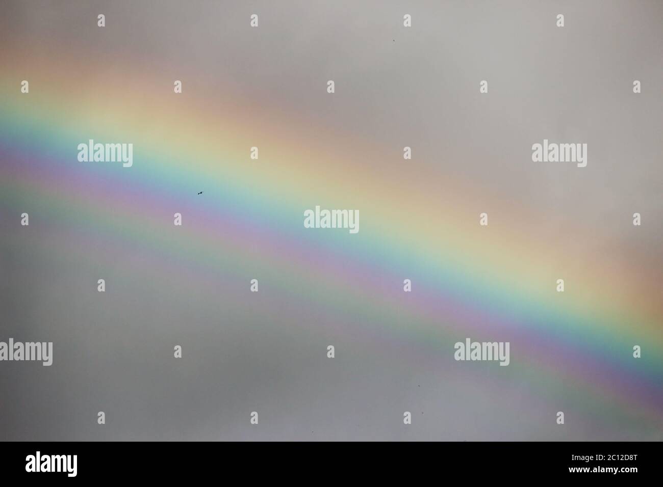 bright colorful wide rainbow after the storm in the gray sky Stock ...