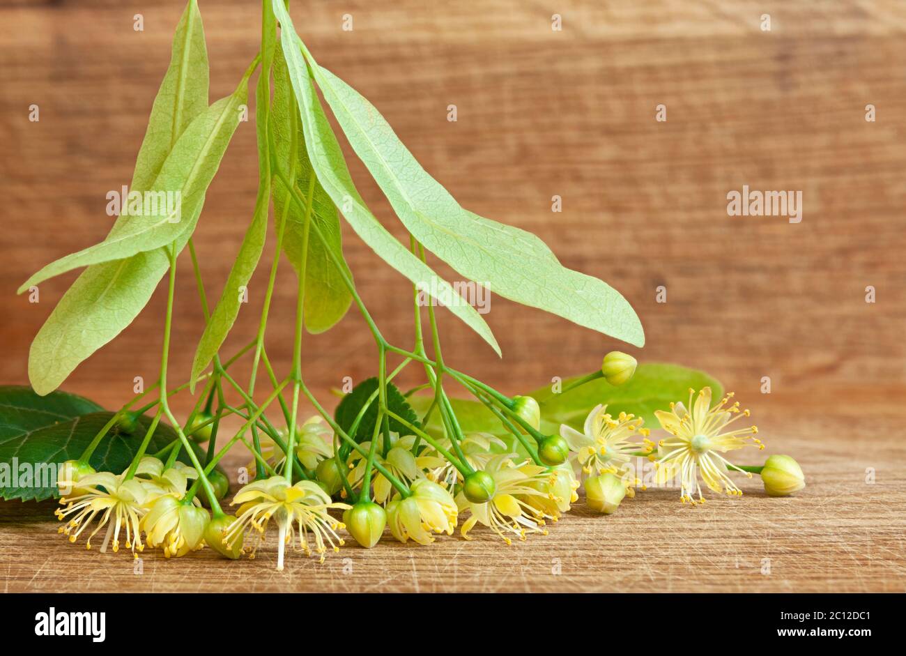 Deep green flowers hi-res stock photography and images - Alamy