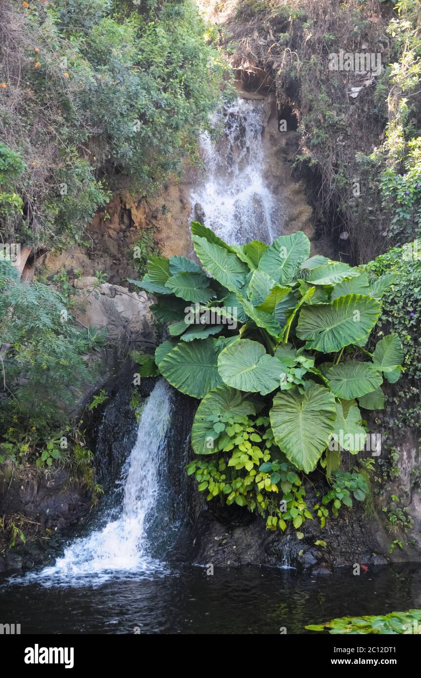 African waterfall background hi-res stock photography and images - Alamy