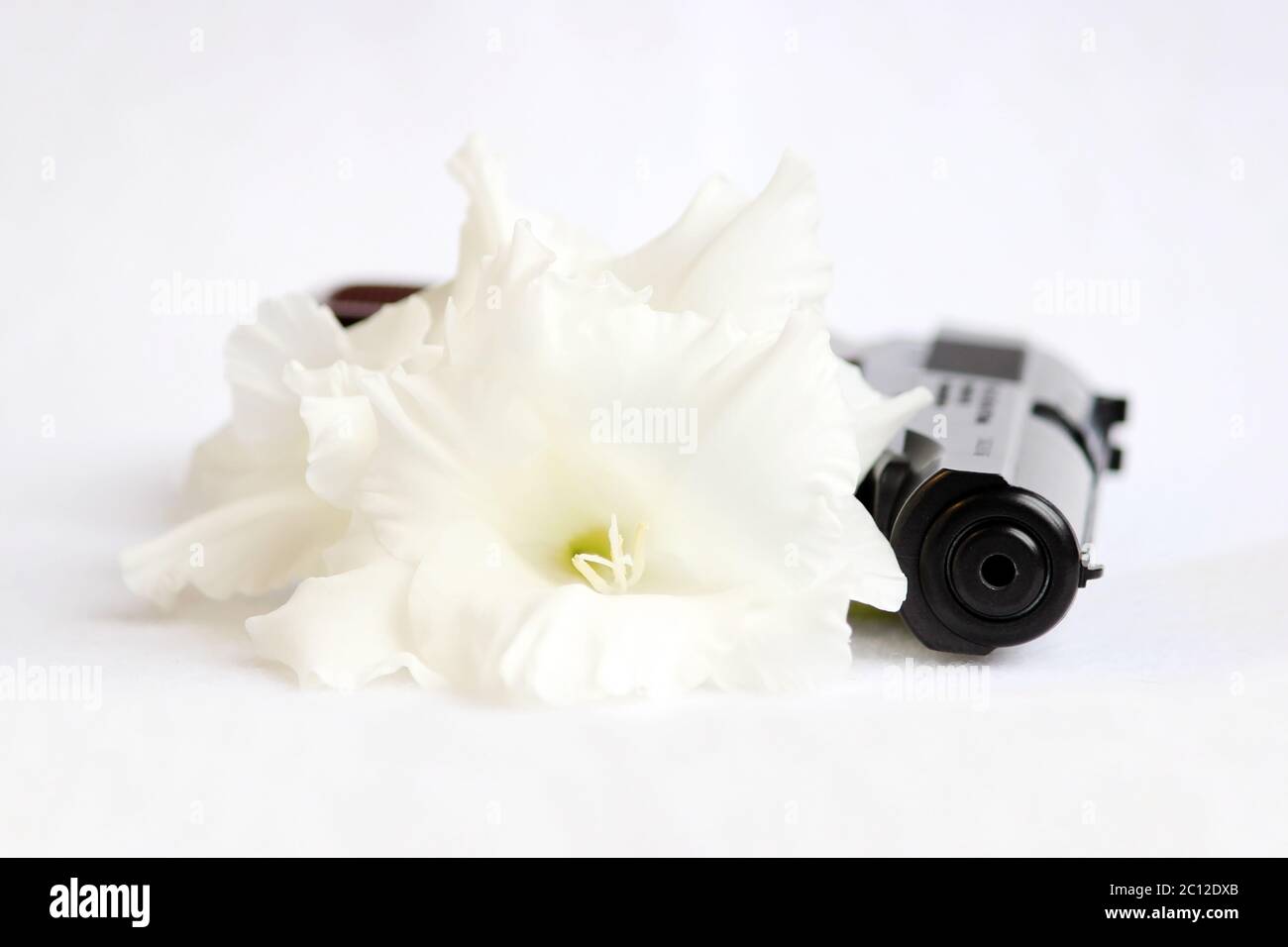white flower gladiolus and a gun on background Stock Photo - Alamy