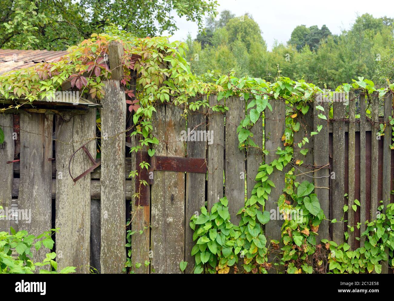 Old wooden fence Stock Photo - Alamy