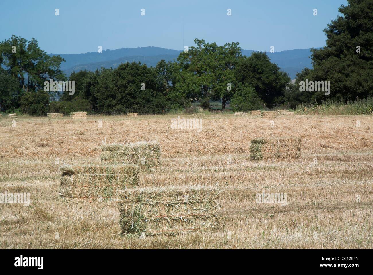 Rectangle bales of hay hi-res stock photography and images - Alamy