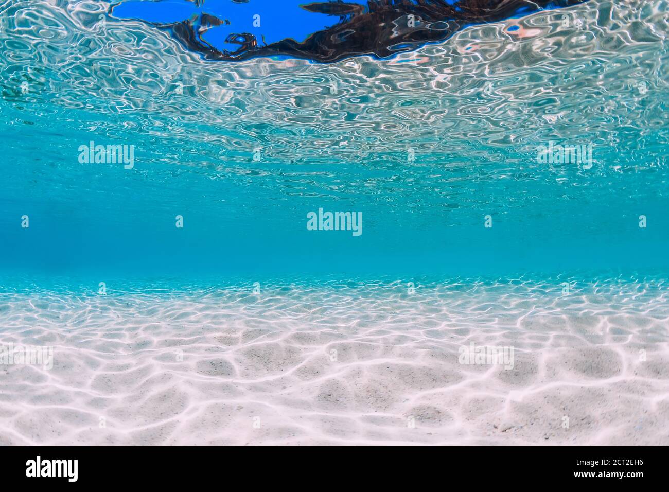 Tropical transparent ocean with white sand underwater in Hawaii Stock ...