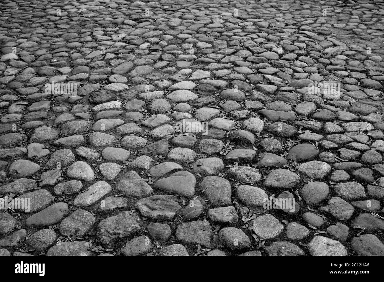 Paving stone at sunny day Stock Photo - Alamy