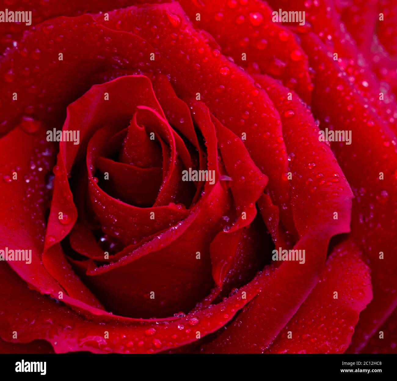 Red clo hi-res stock photography and images - Alamy