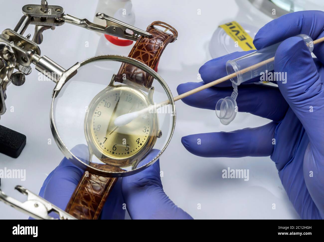 Police scientist working in Criminalistic Lab, victim clock analysis ...