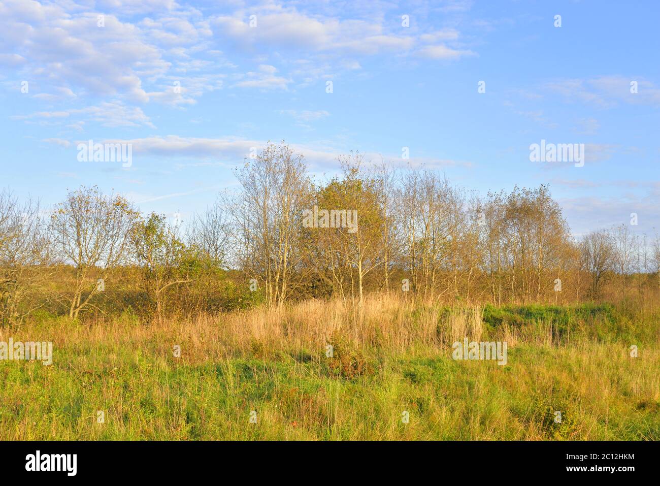 Early autumn weather hi-res stock photography and images - Alamy