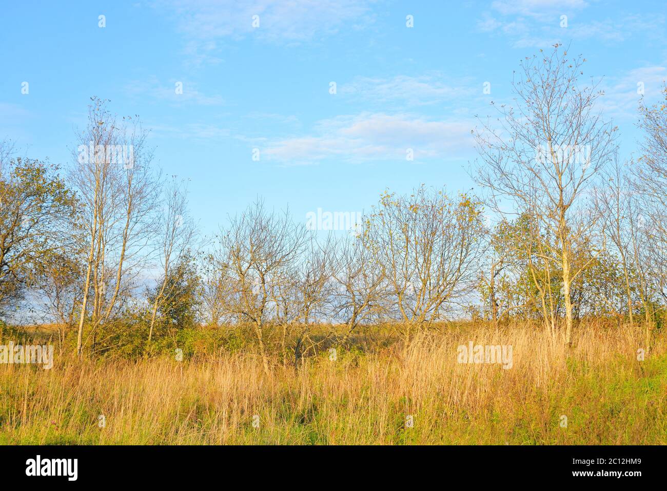 Early autumn weather hi-res stock photography and images - Alamy