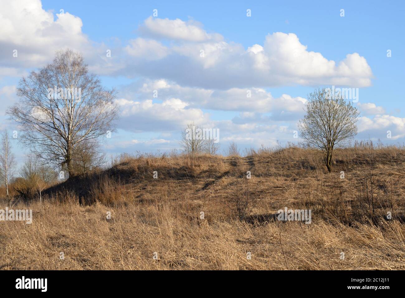 Field early hi-res stock photography and images - Alamy
