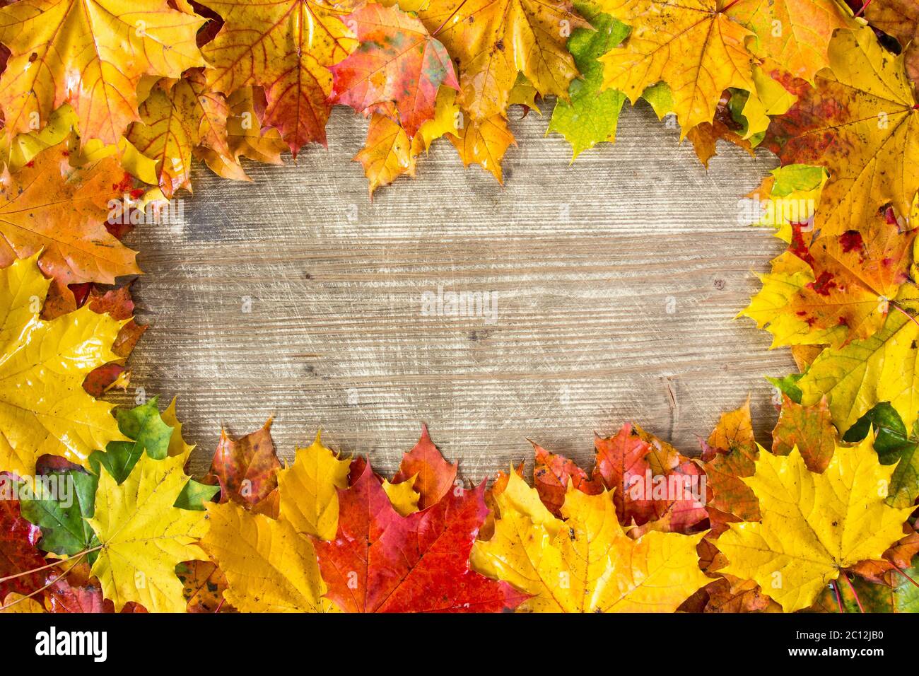 Frame from fall leaves Stock Photo - Alamy