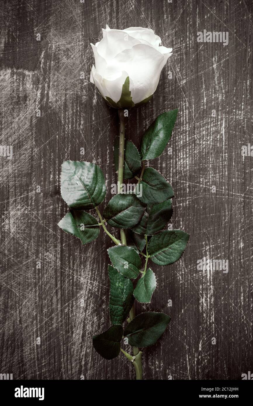 Artificial white rose Stock Photo - Alamy