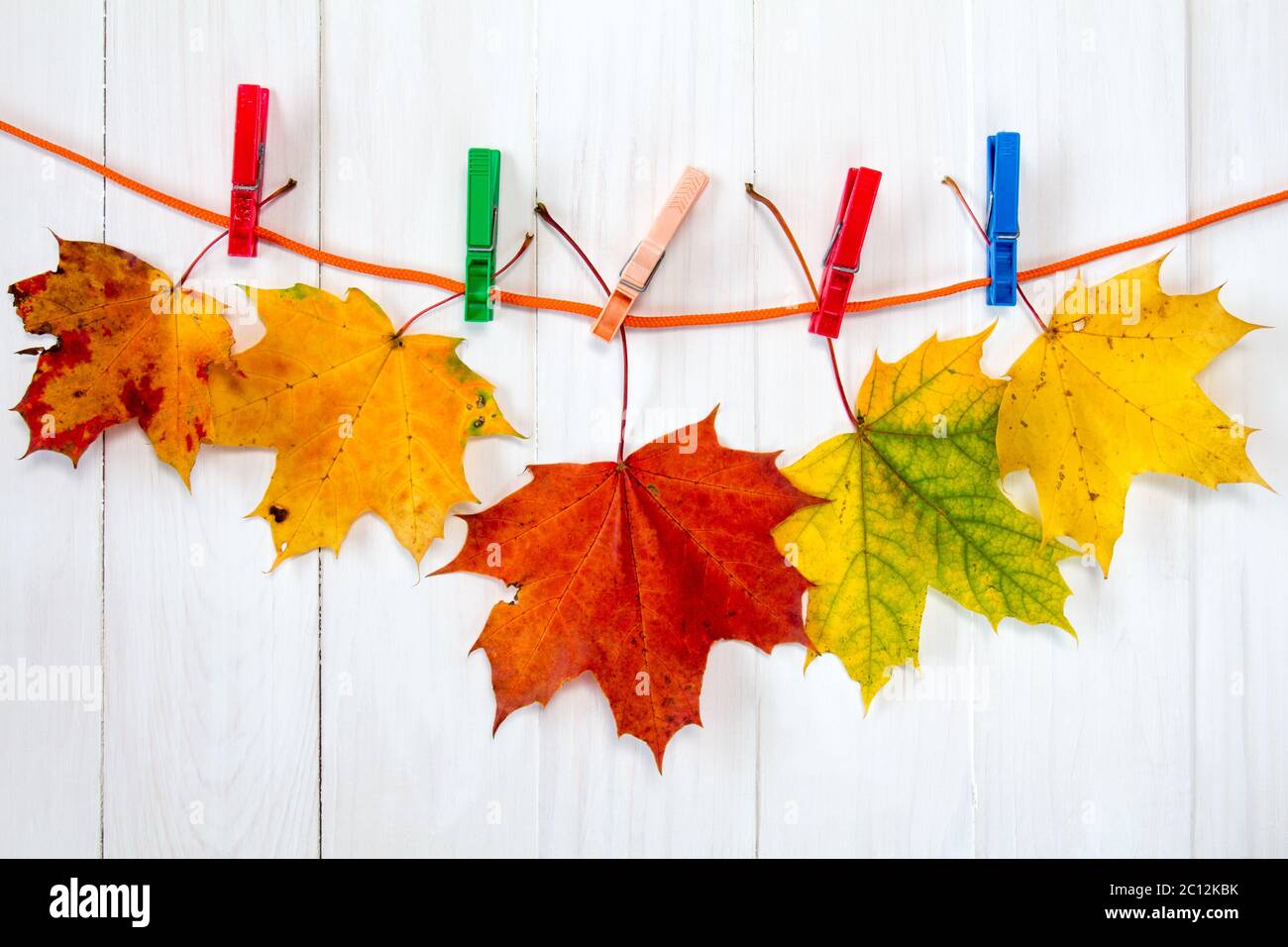 Rope leaves hi-res stock photography and images - Alamy