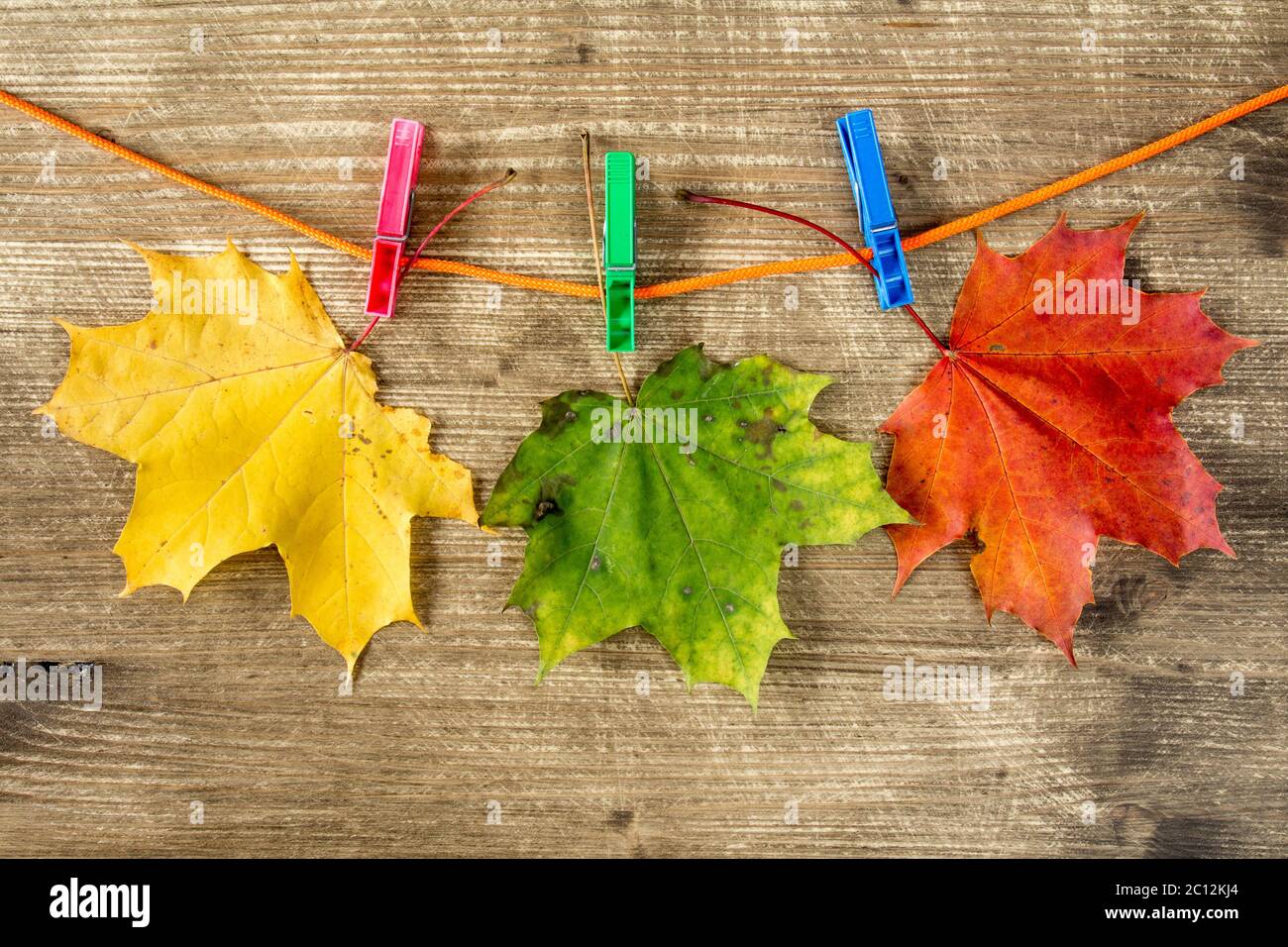 Rope leaves hi-res stock photography and images - Alamy