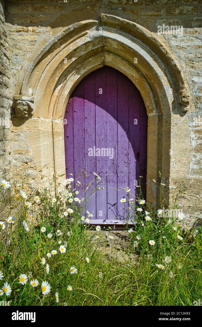 Old Purple Doors