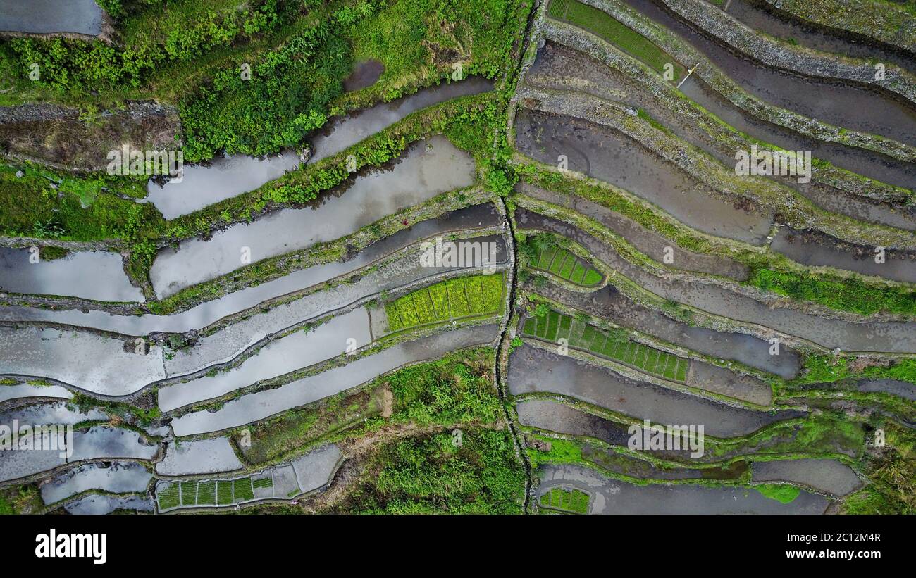 Agriculture aerial fields shapes hi-res stock photography and images ...