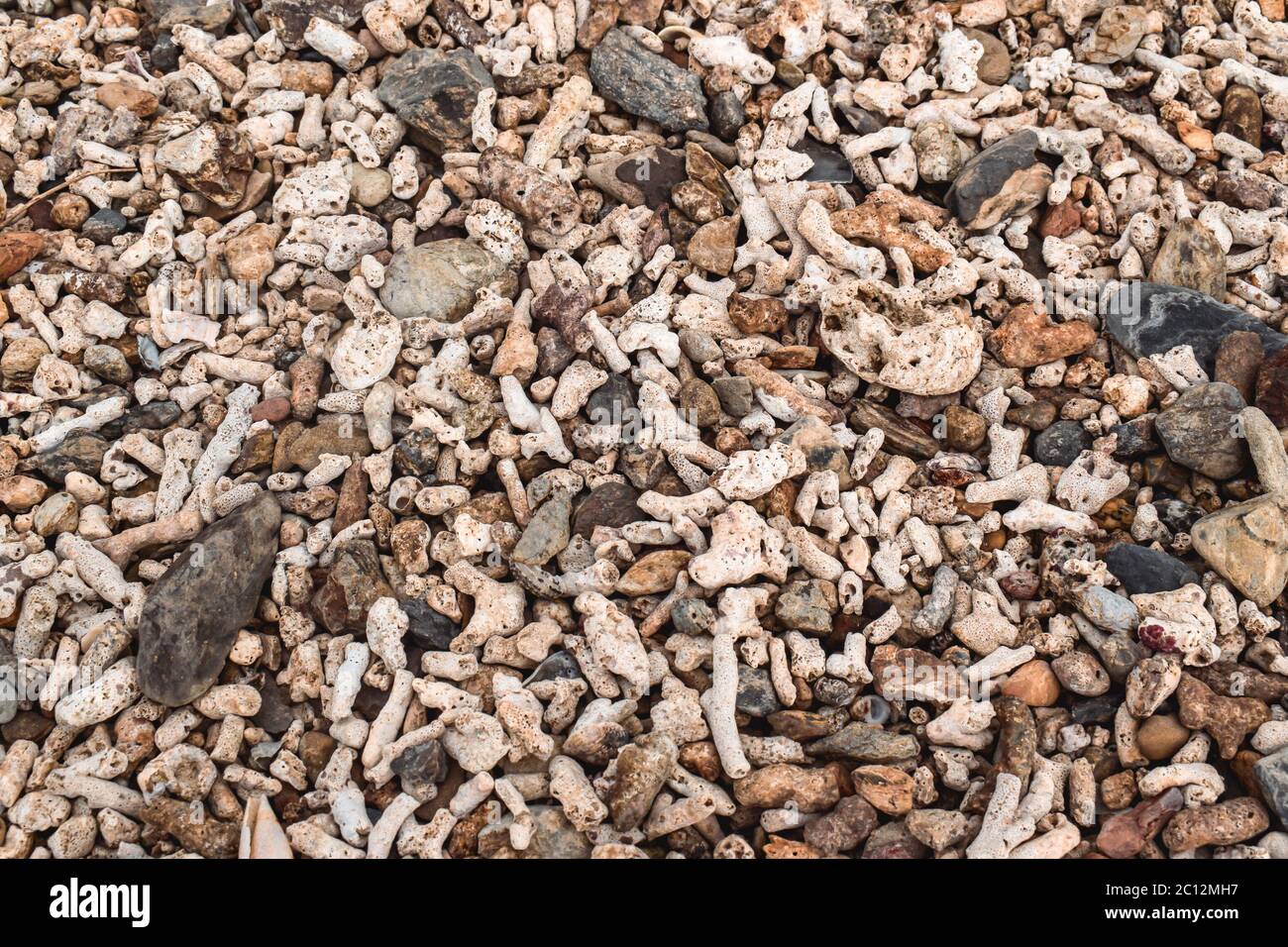 Pile of dead corrals and stones on a seashore Stock Photo - Alamy