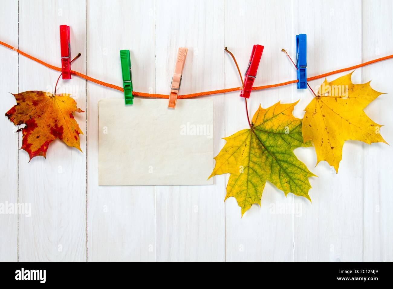 Empty paper card maple hi-res stock photography and images - Alamy