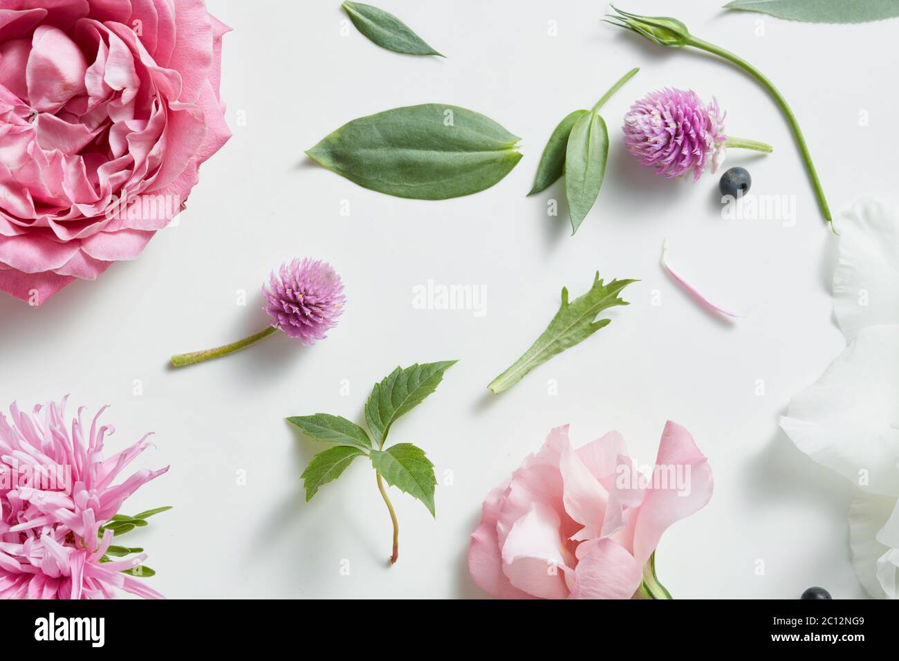 Flowers heads hi-res stock photography and images - Alamy