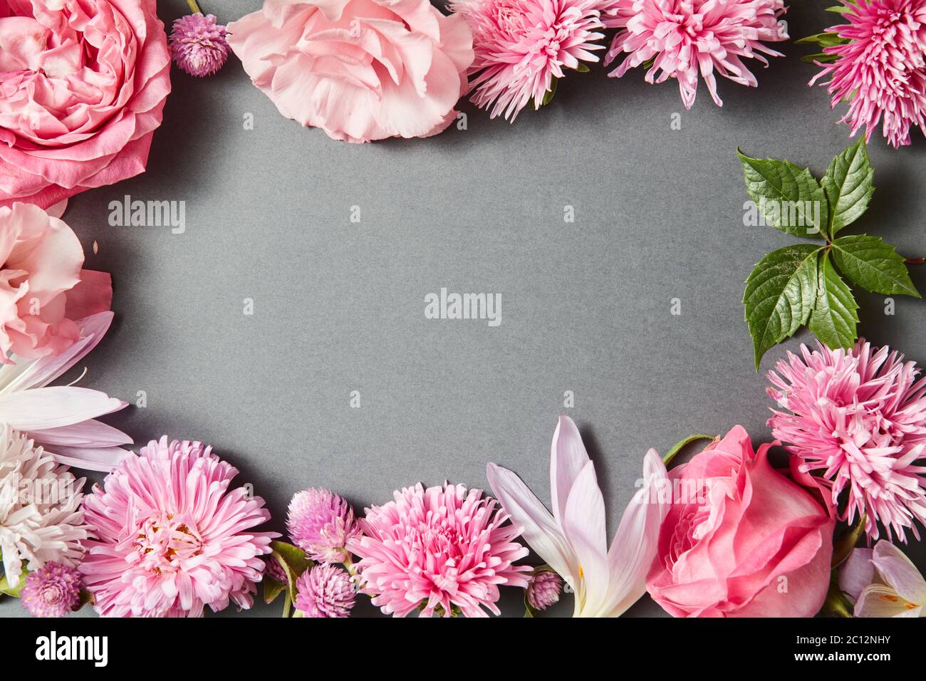 Beautiful pink flowers frame Stock Photo - Alamy