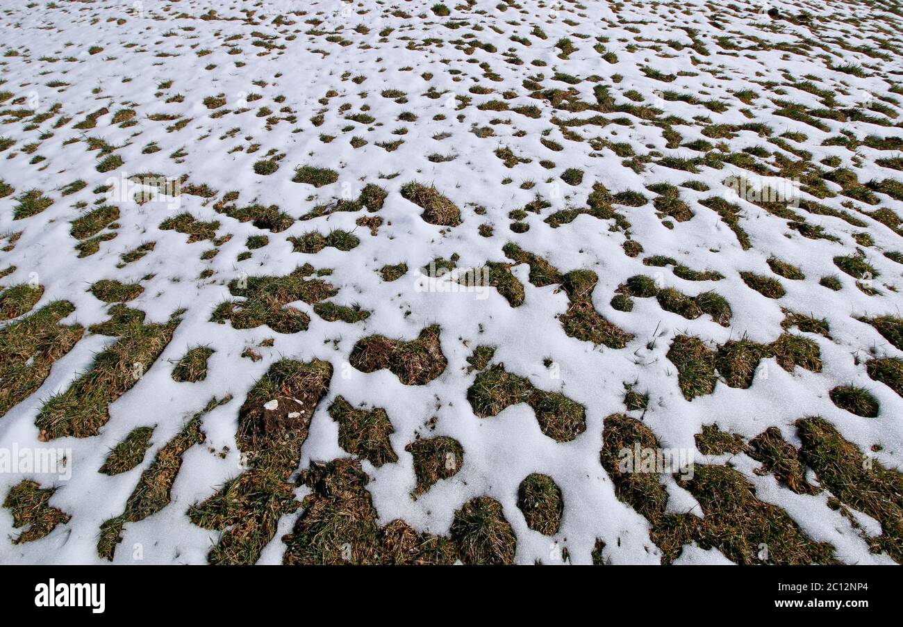snow scene and texture on nature Stock Photo - Alamy