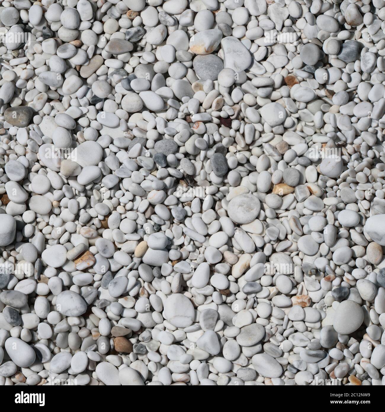 Seamless texture of pebble beach. Marina di Pisa. Italy Stock Photo - Alamy