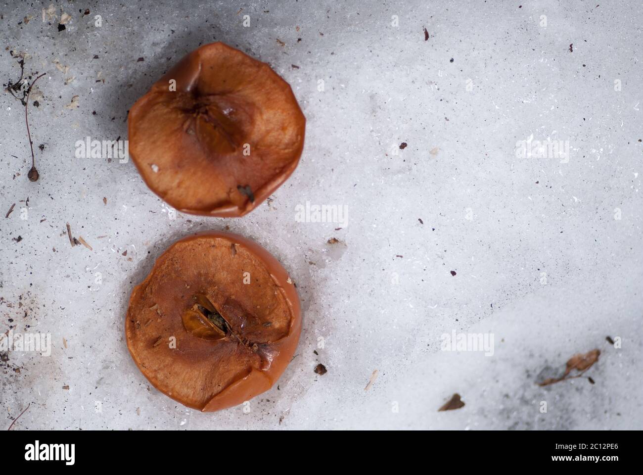 Brown sliced Apple laying on the snow at winter Stock Photo - Alamy