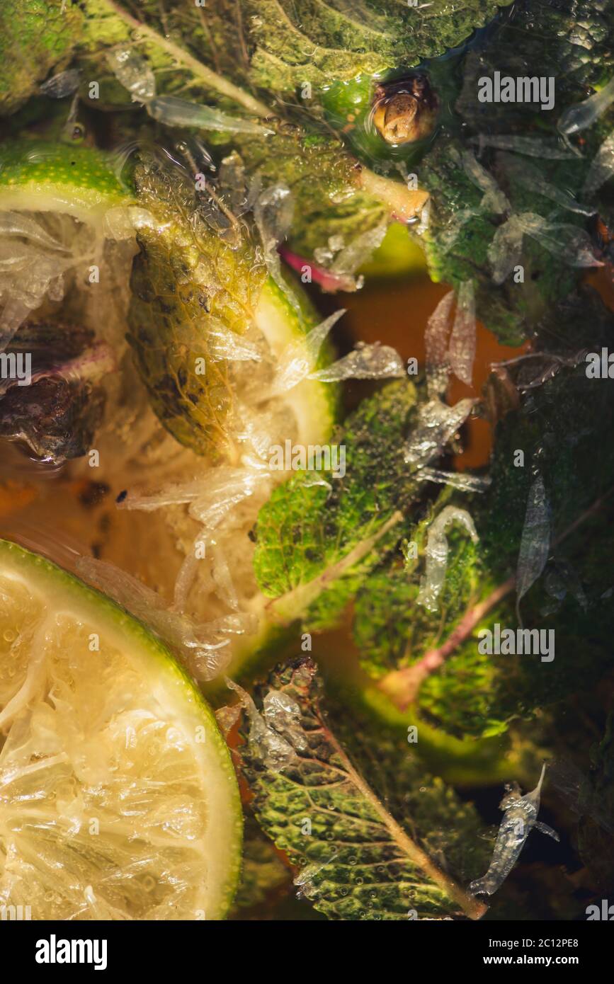 Carbonated soda water or juice with lime and mint in a glass jug. Macro ...