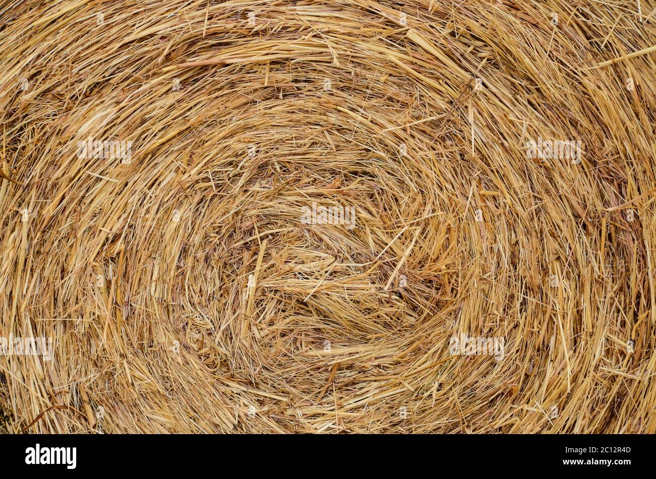 Hay Texture High Resolution Stock Photography and Images - Alamy