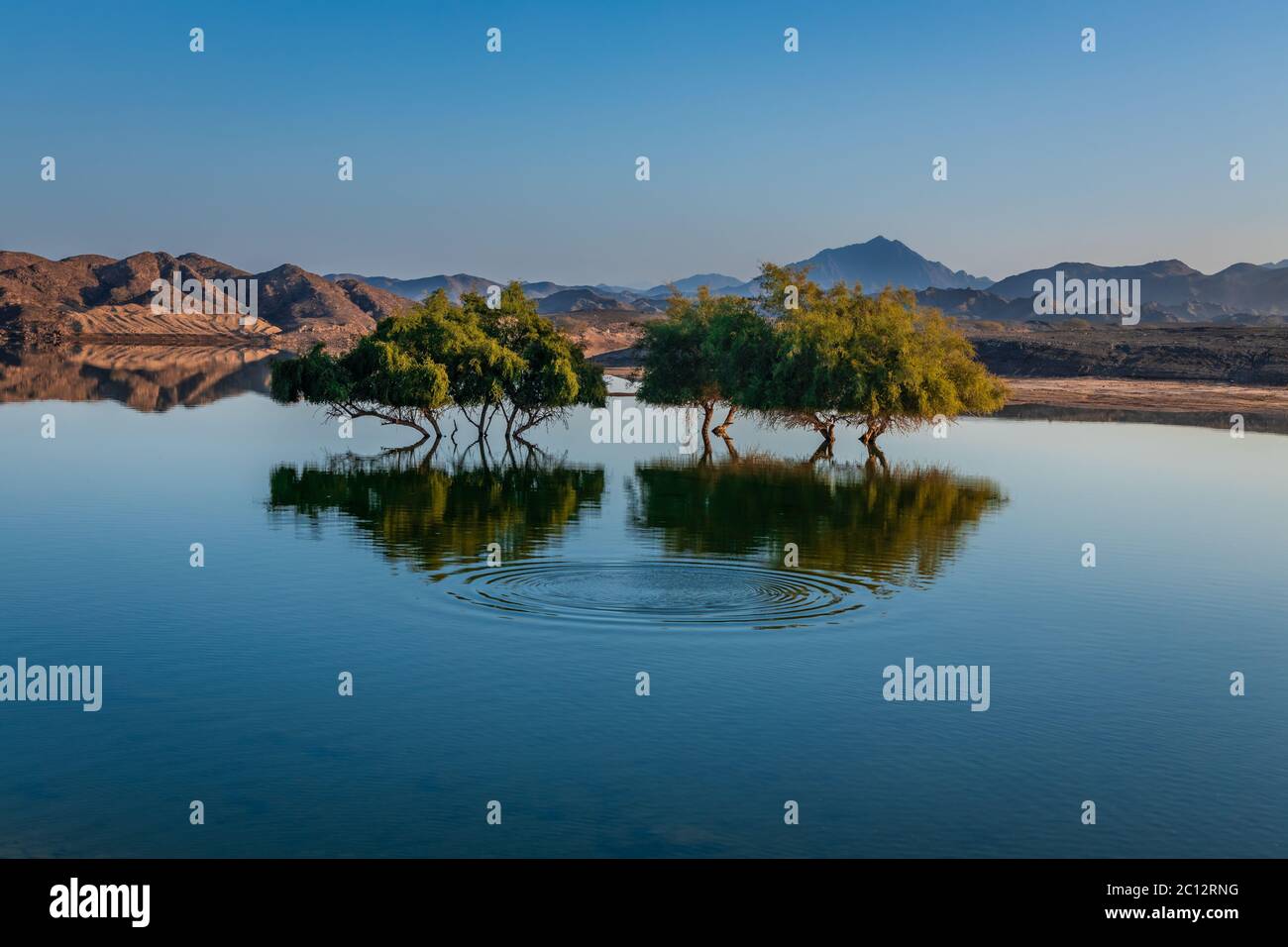Dam in uae hi-res stock photography and images - Alamy