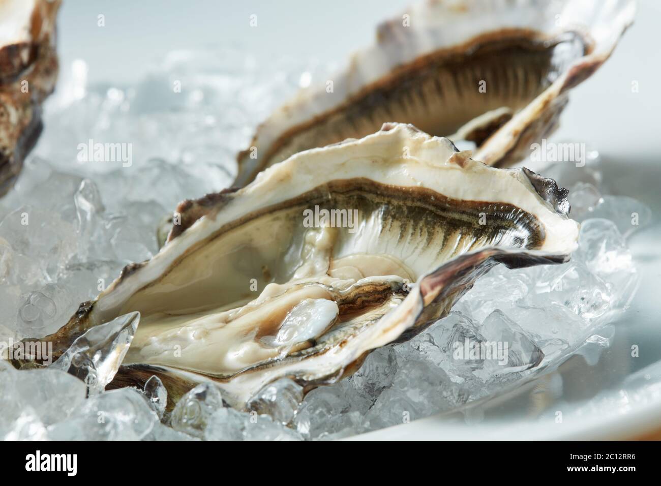 Raw oyster hi-res stock photography and images - Alamy
