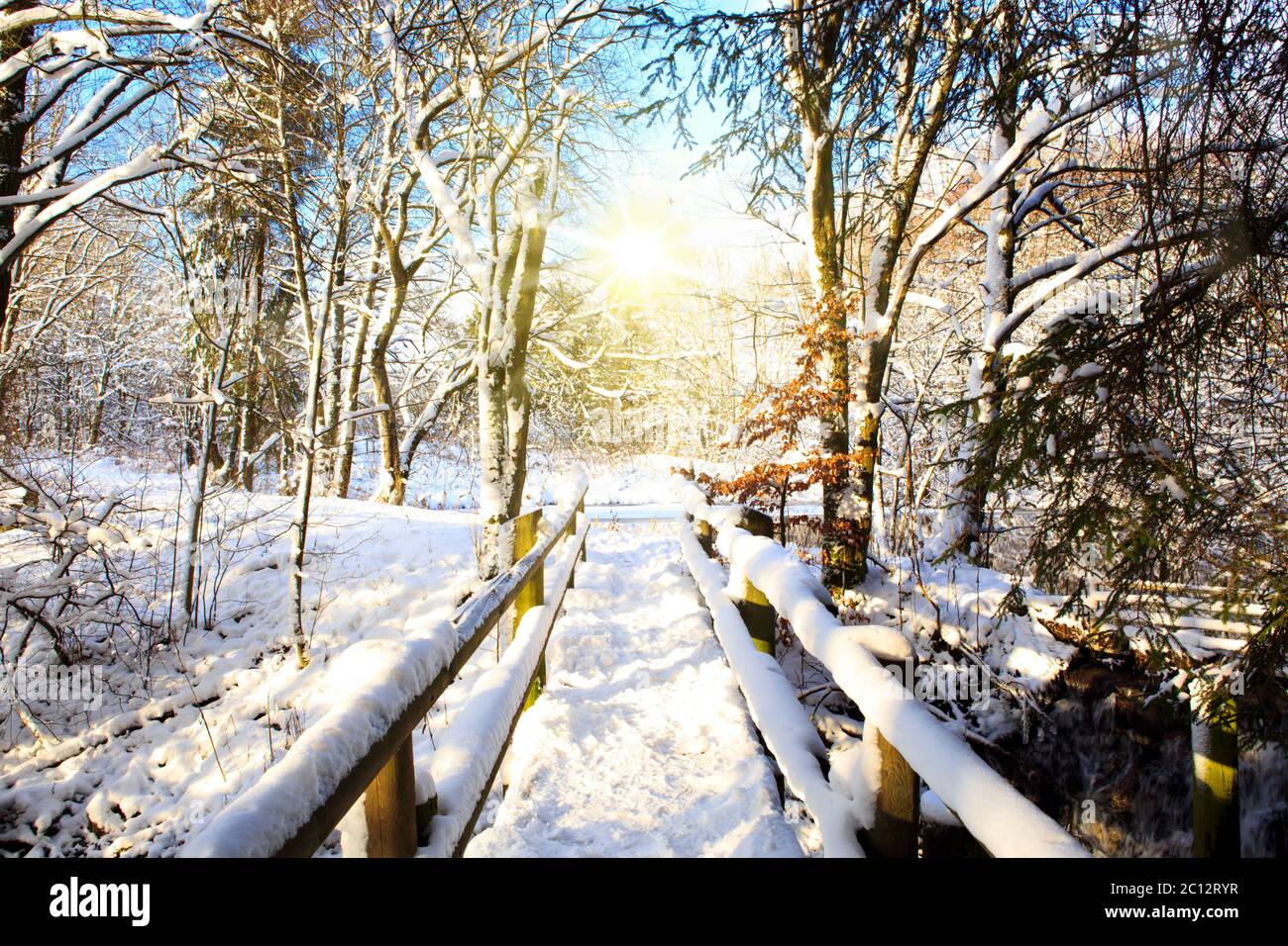Wooden bridge forest hi-res stock photography and images - Alamy