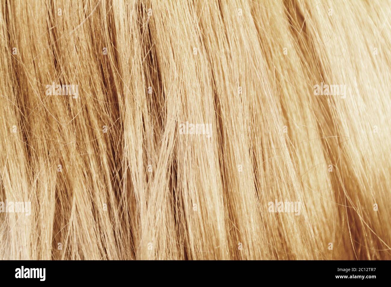 Blonde hair. Blond hair texture - closeup photo Stock Photo - Alamy
