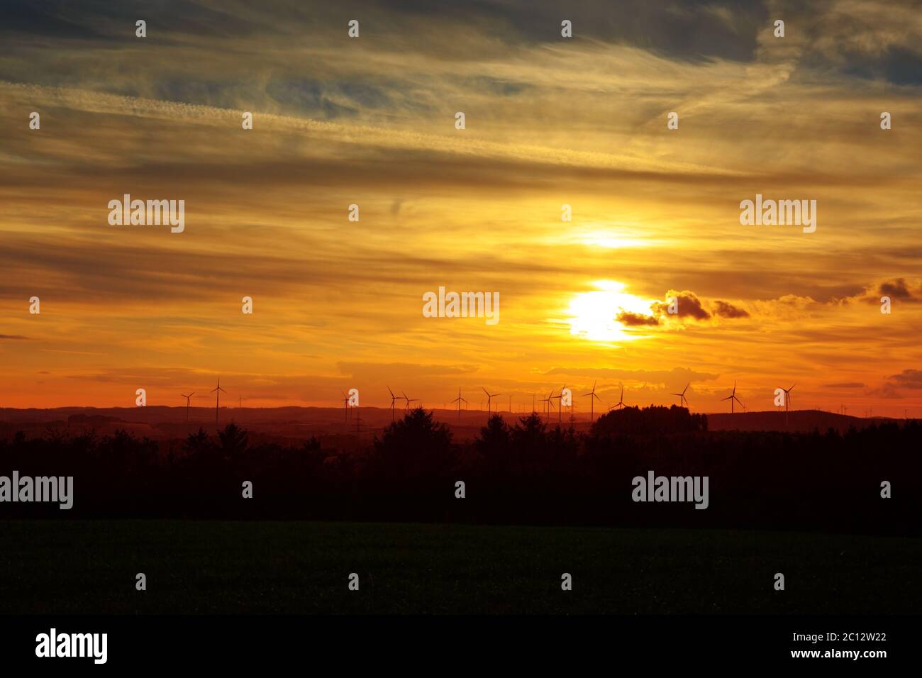 Silhouette forest mist hi-res stock photography and images - Alamy