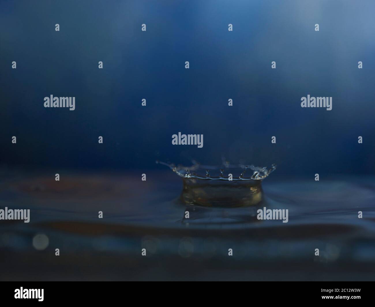 Water droplets falling on and bouncing off a pool of water, leaving ...