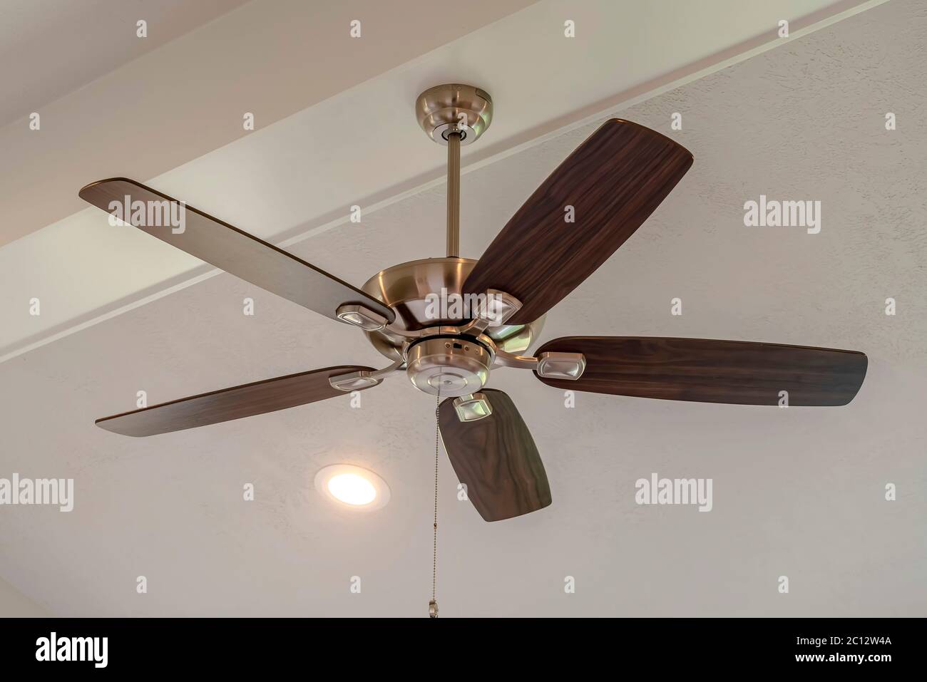 Electrical fan with built in lights installed on decorative wooden ...