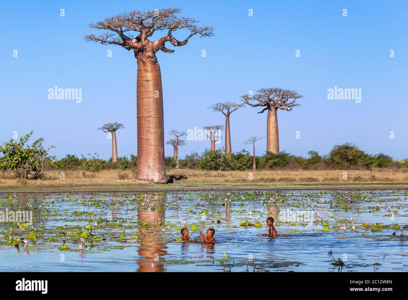 Madagascar Landscape High Resolution Stock Photography and Images - Alamy