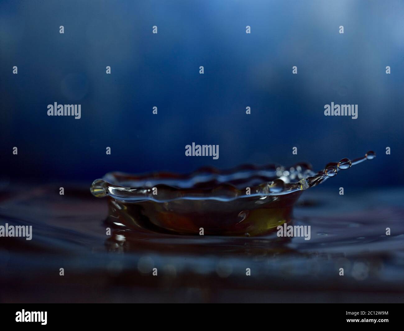 Water droplets falling on and bouncing off a pool of water, leaving ...