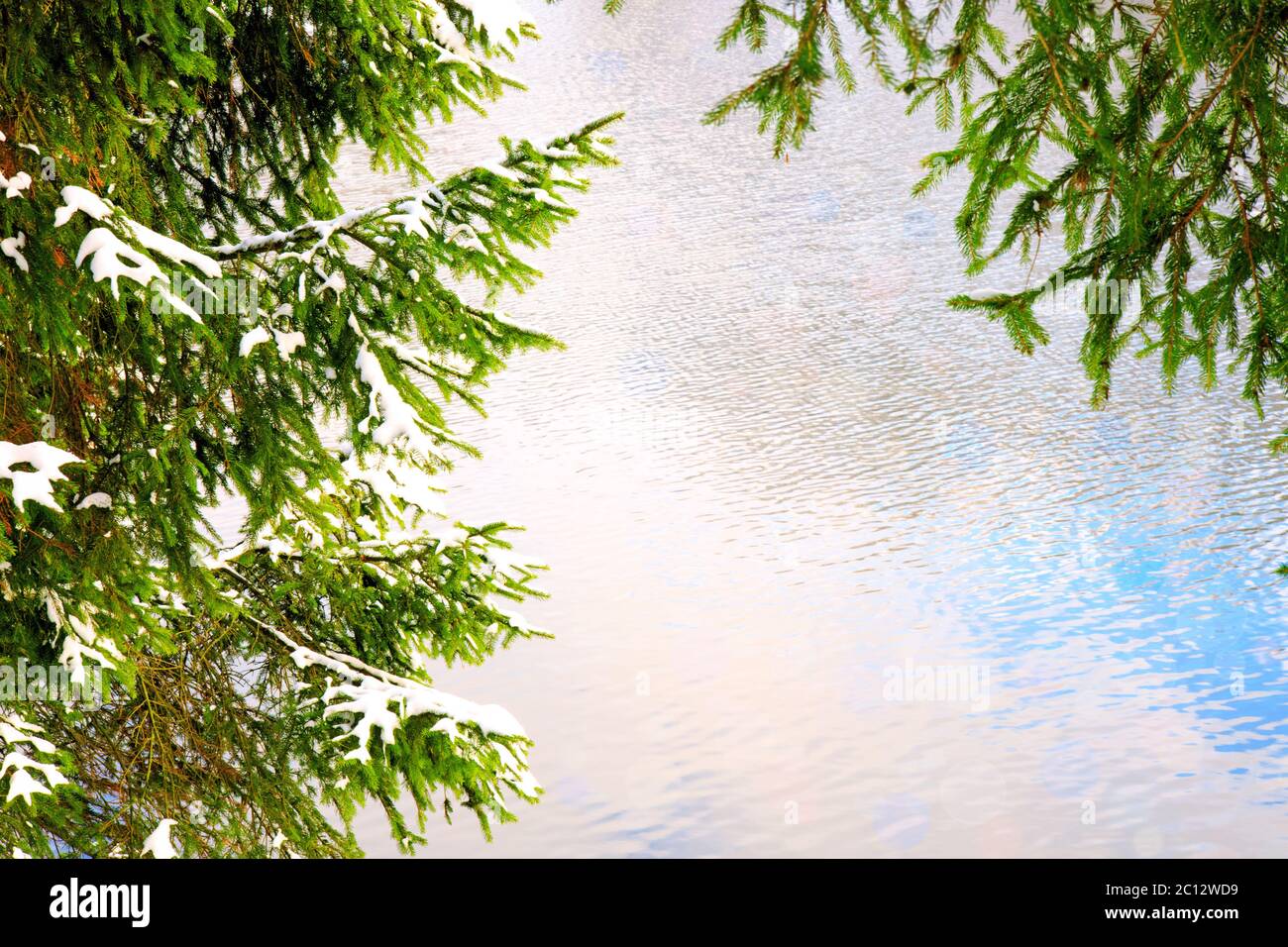 Beautiful fir hi-res stock photography and images - Alamy