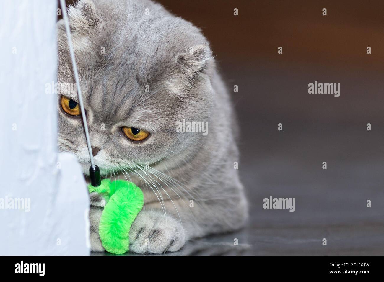 Catty corner hi-res stock photography and images - Alamy