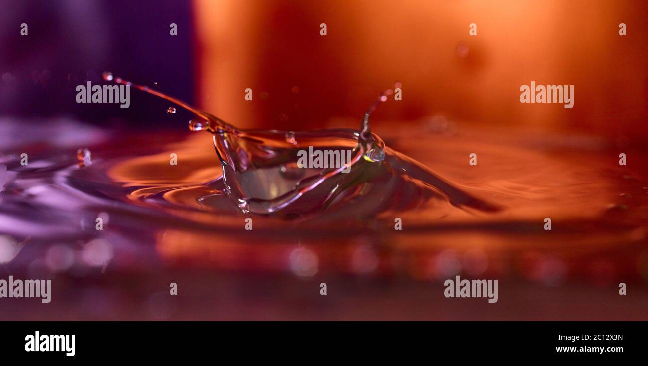 Water droplets falling on and bouncing off a pool of water, leaving ...