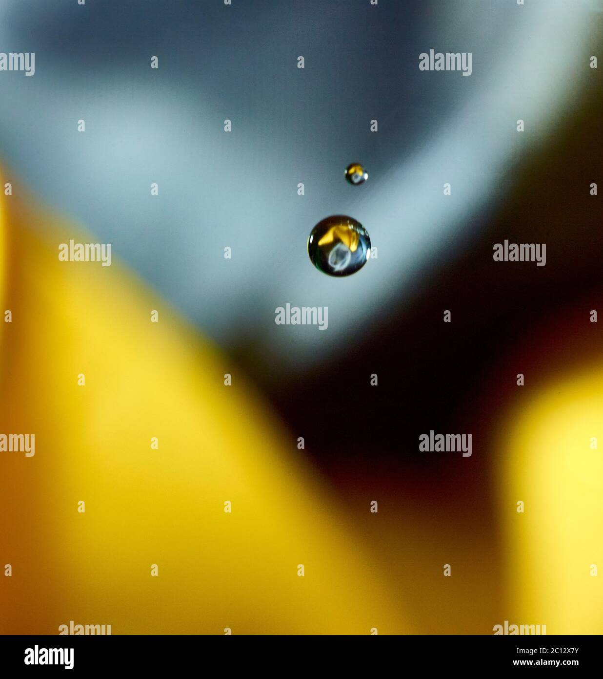 Water droplets falling on and bouncing off a pool of water, leaving ...