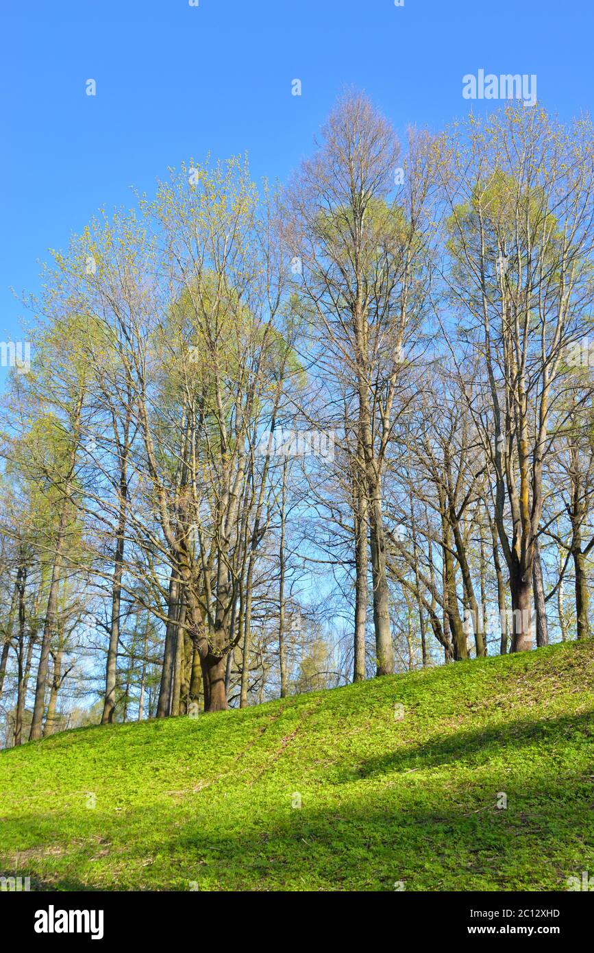 Park at spring Stock Photo - Alamy