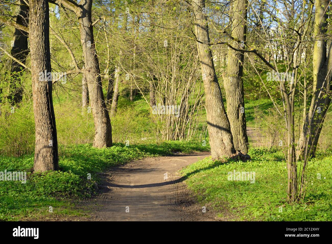 Park at spring Stock Photo - Alamy