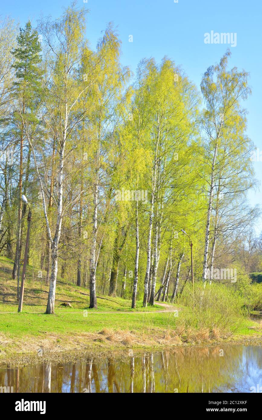 Park at spring Stock Photo - Alamy