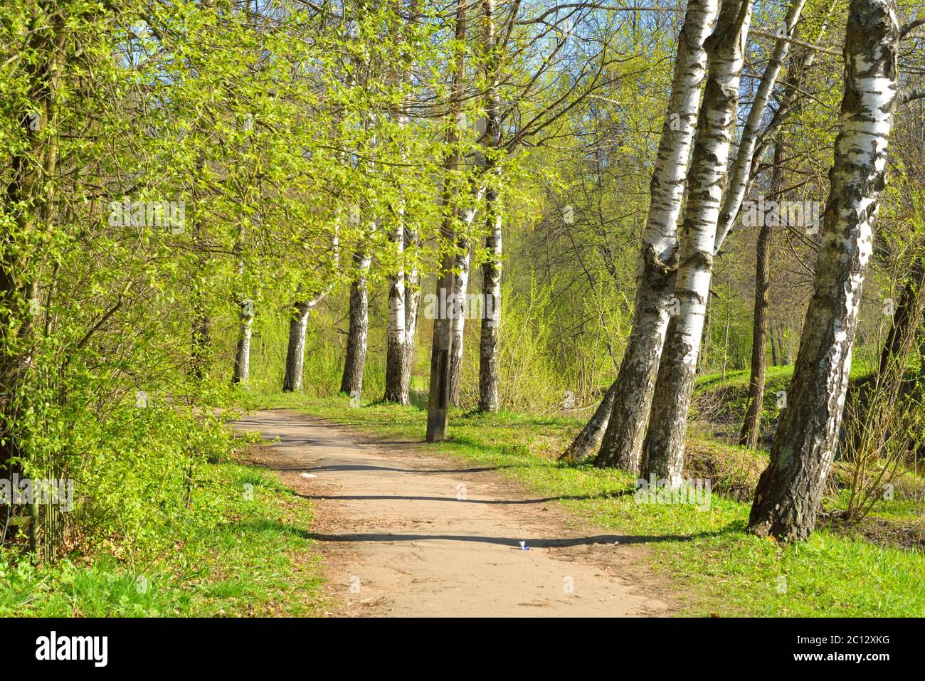 Park at spring Stock Photo - Alamy