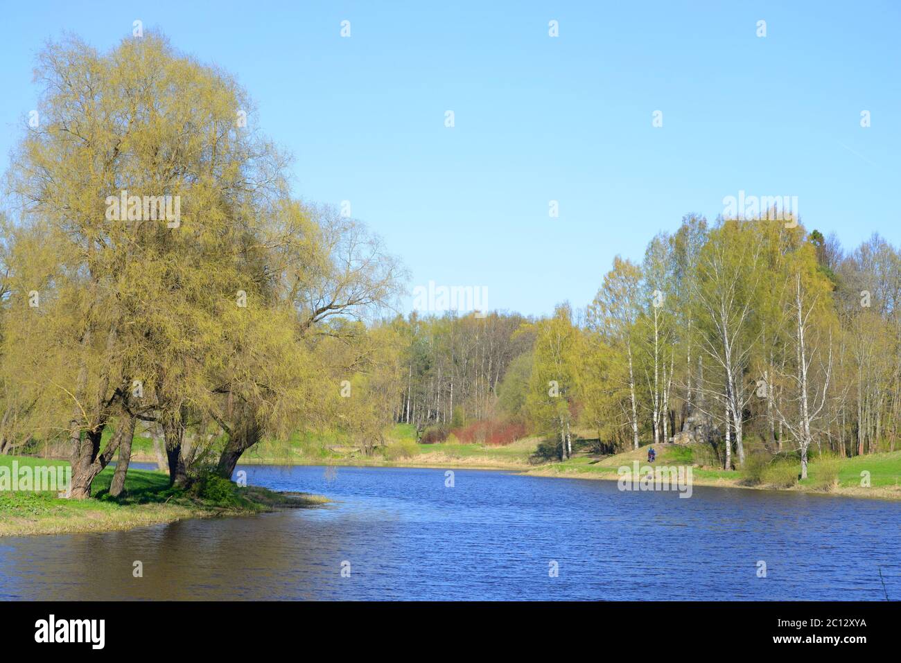 Park at spring Stock Photo - Alamy