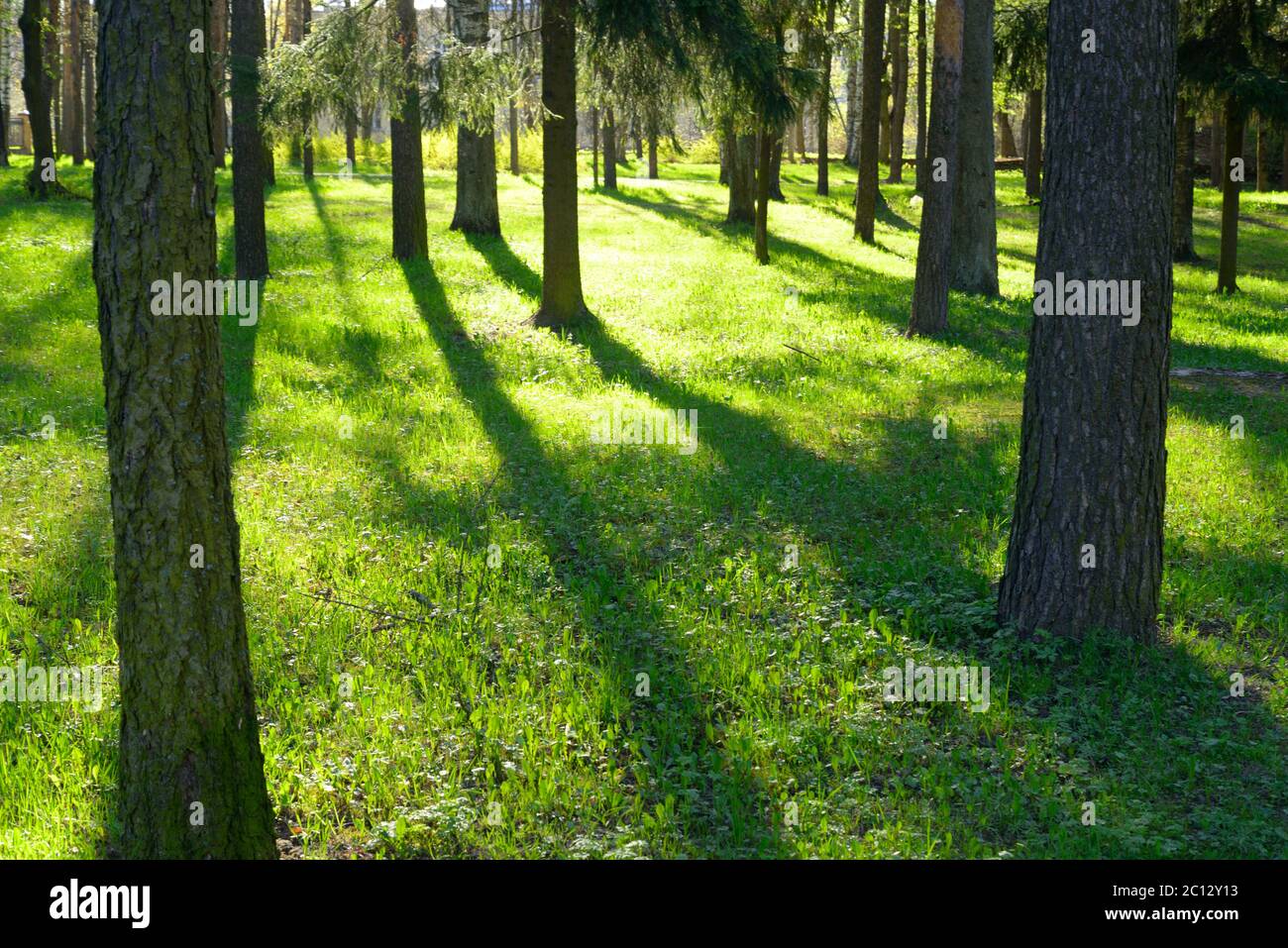 Park at spring Stock Photo - Alamy