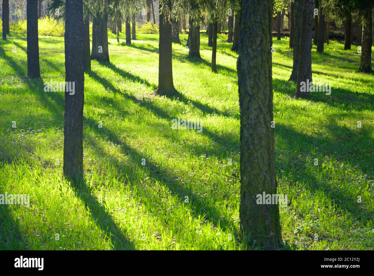Park at spring Stock Photo - Alamy