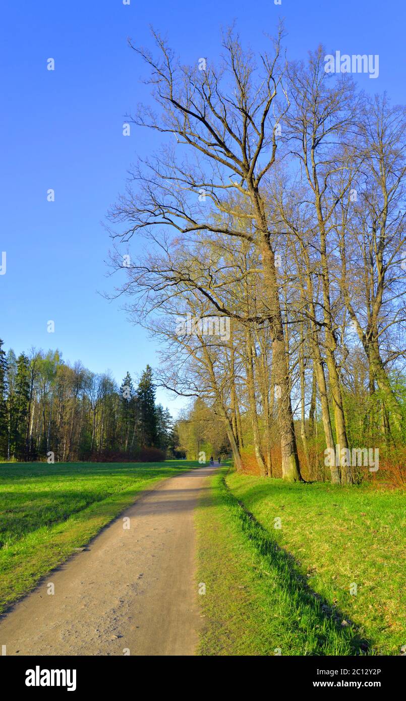 Park at spring Stock Photo - Alamy