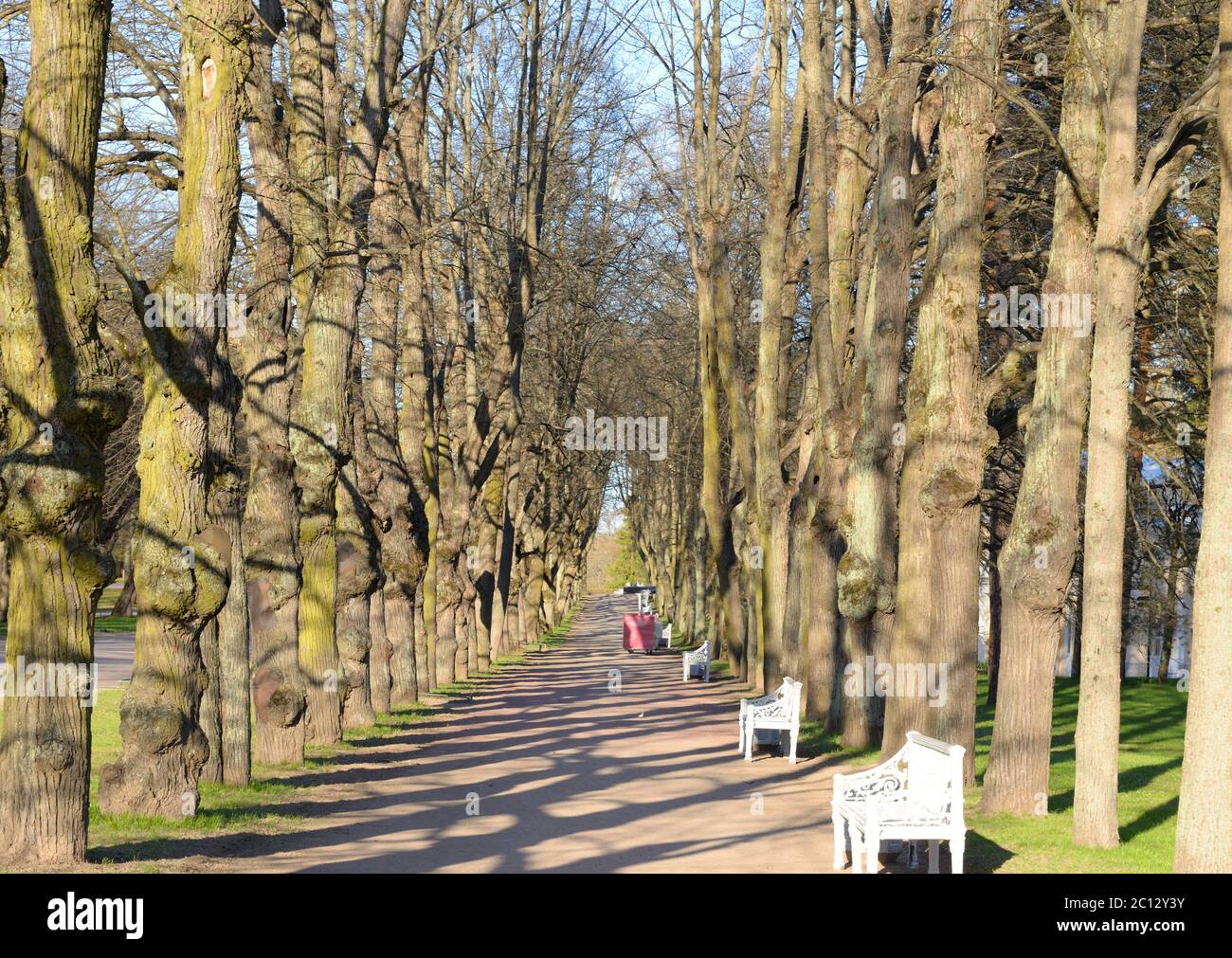Beautiful park alley stone hi-res stock photography and images - Alamy